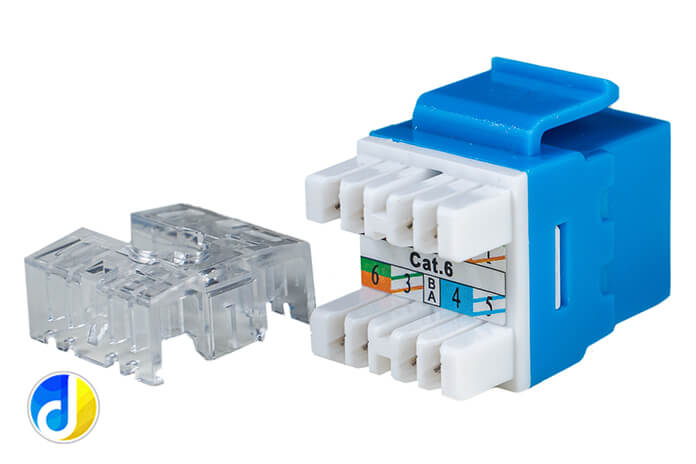 What is Keystone Jack? (All you need to know!) - Dgit Mag