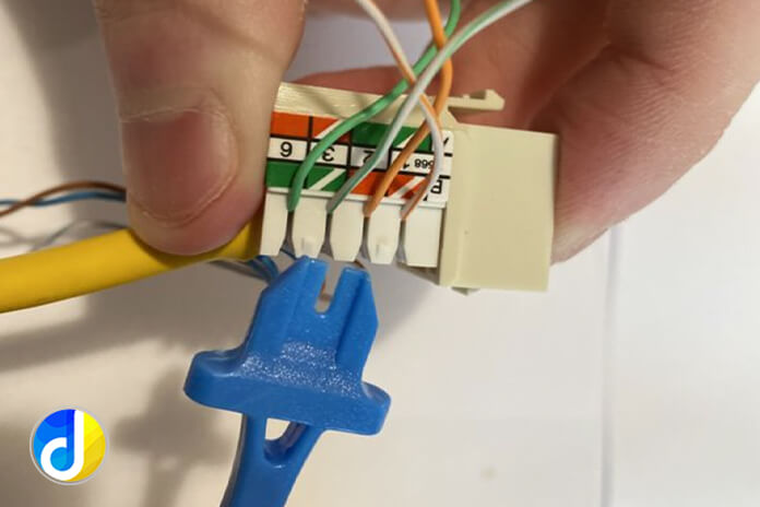 What is Keystone Jack? (All you need to know!) - Dgit Mag