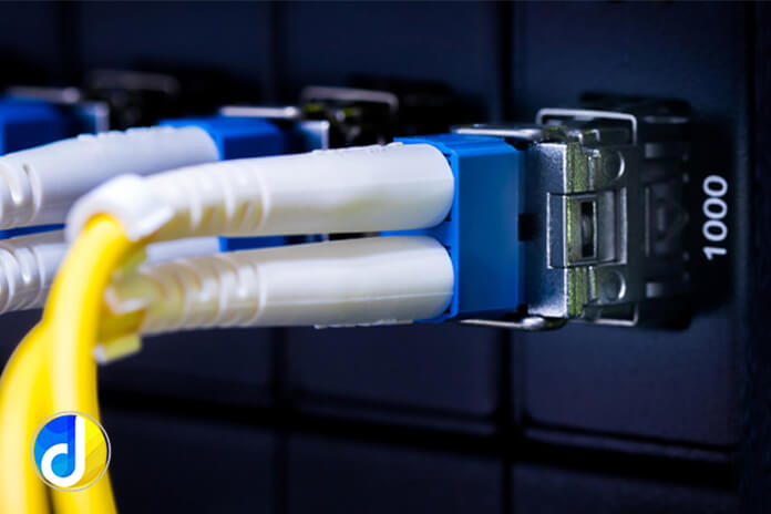 Types of Patch Cord: All You Need to Know! - Dgit Mag
